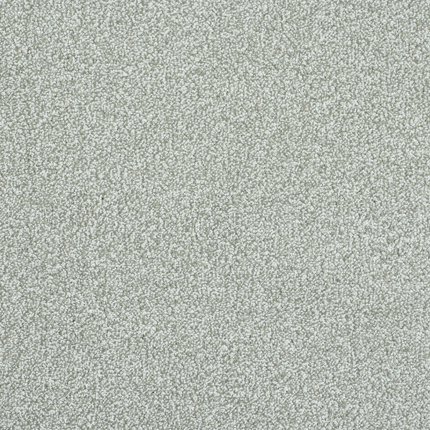 Stainfree Timeless Twist Carpet - 18 Moonstone | Abingdon Flooring