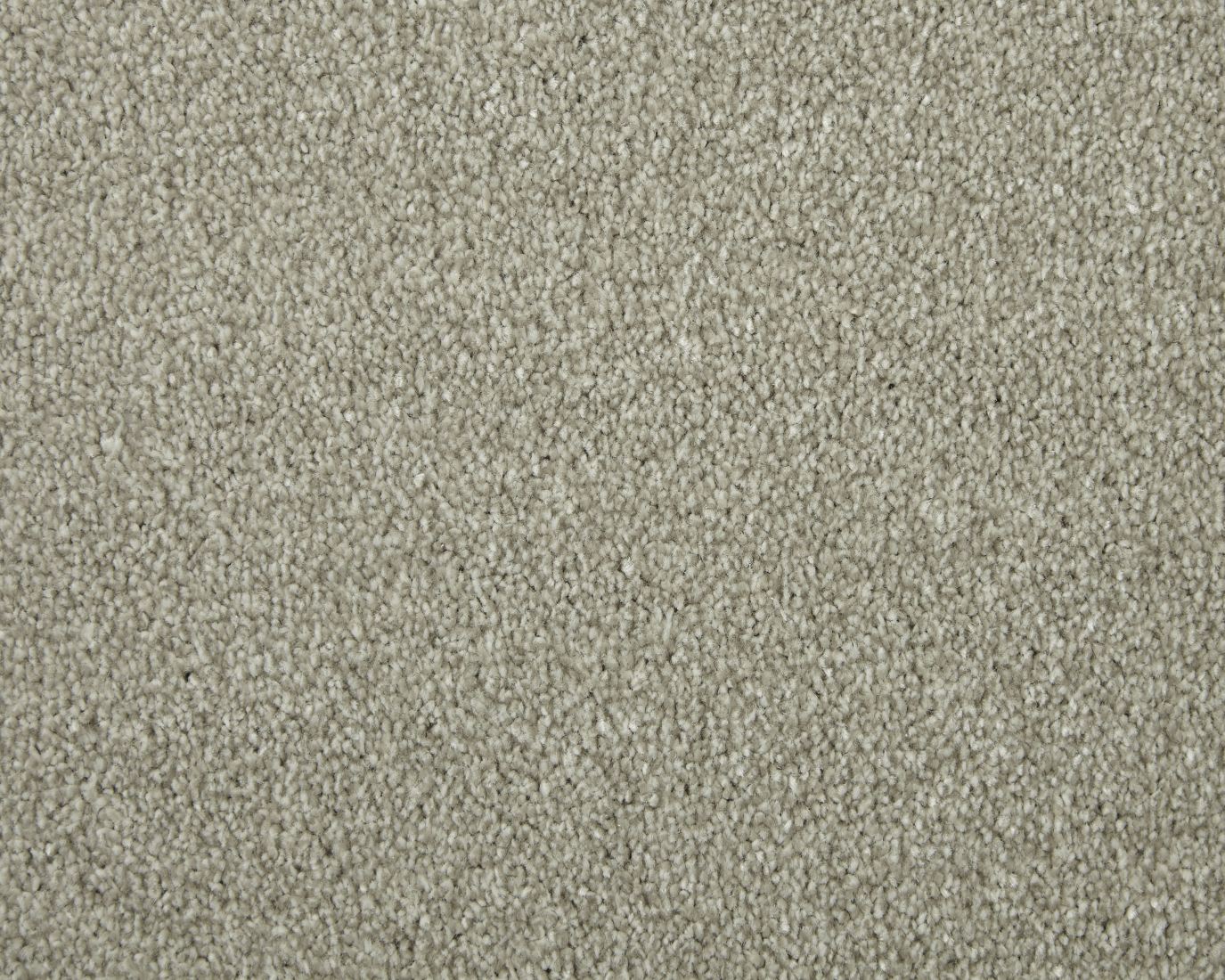 Abbey Twist Carpet - Cascade