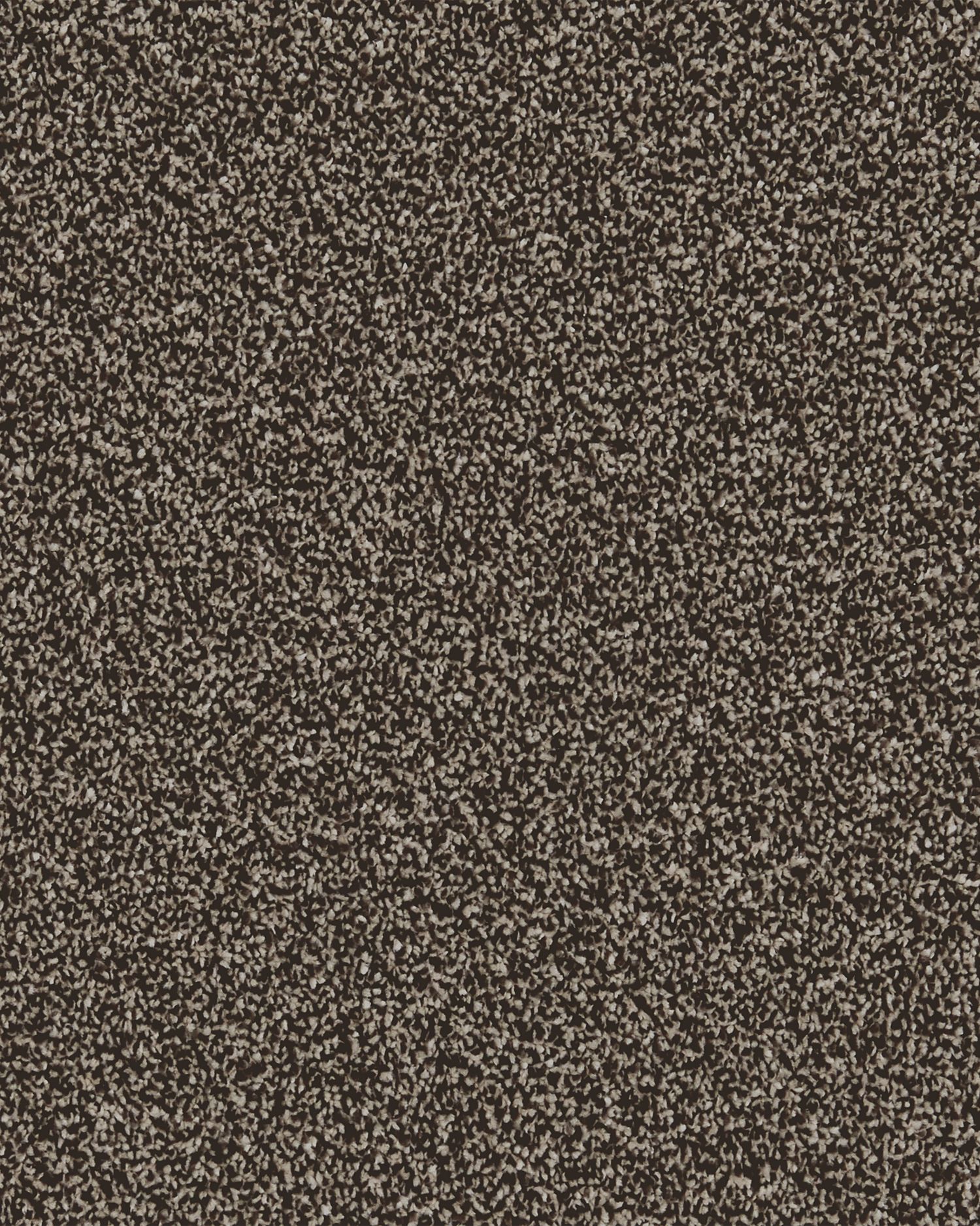 Presence Twist Carpet - Milk Chocolate