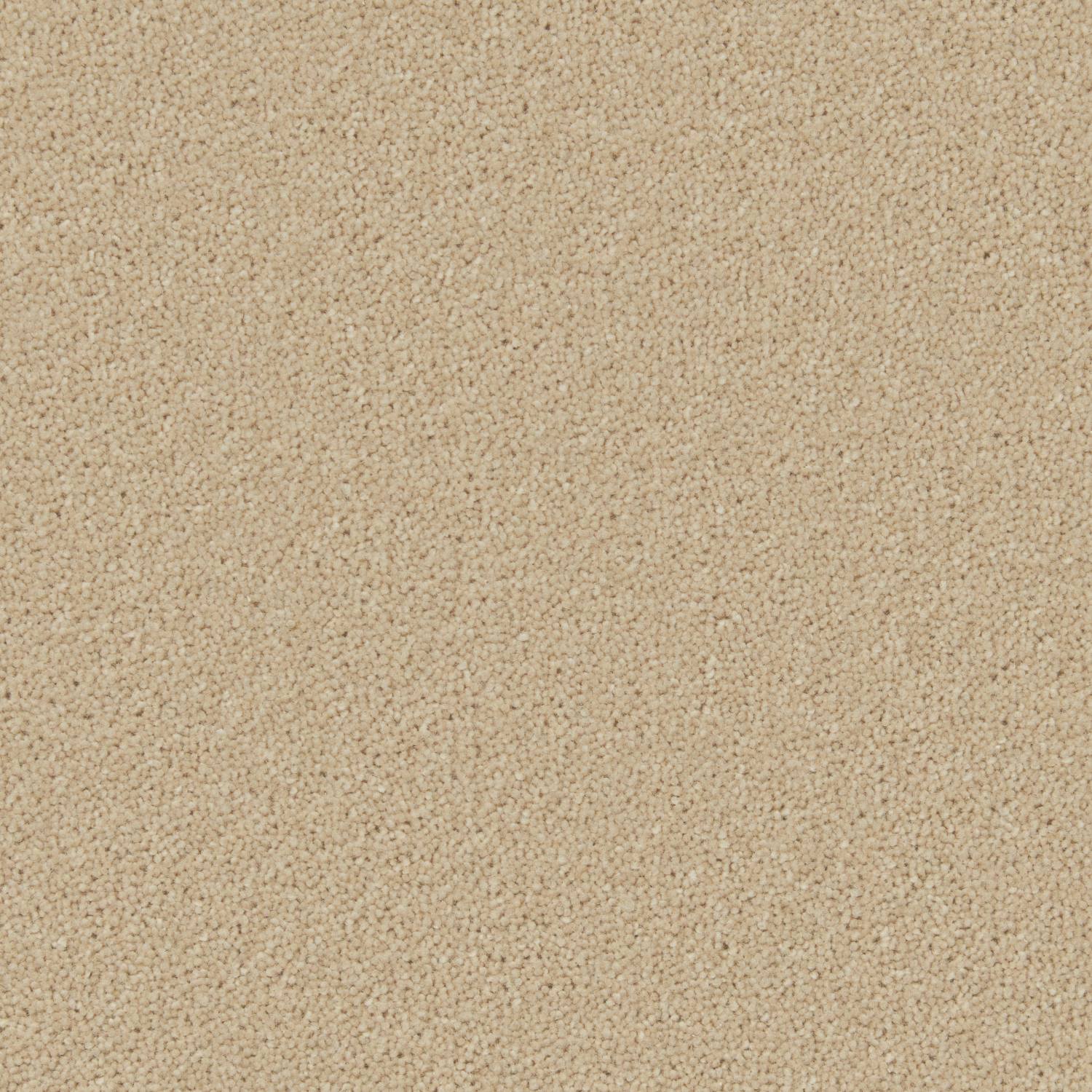 Perendale Supreme Wool Twist Carpet - Shell